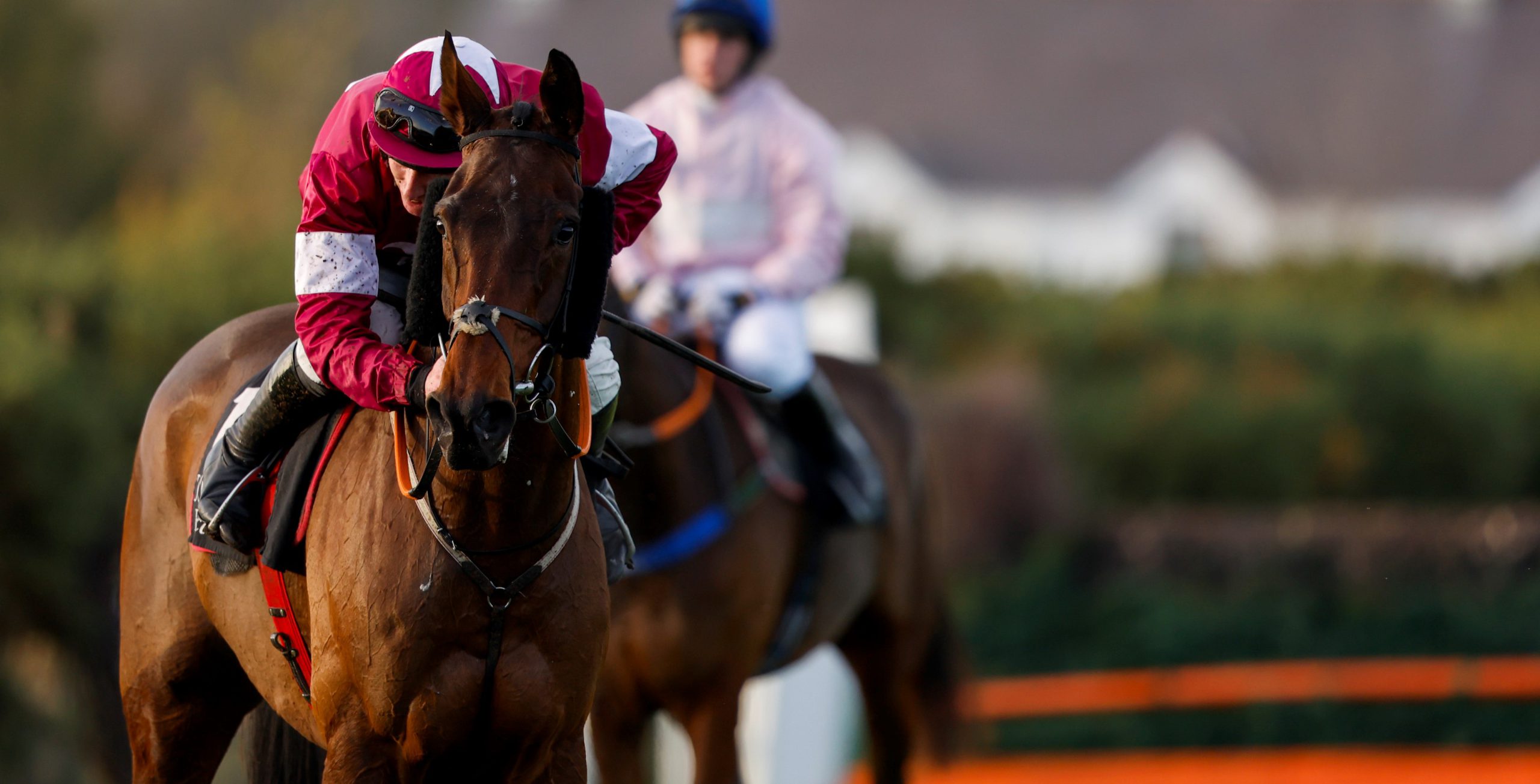 Plan Your Visit » Down Royal Racecourse