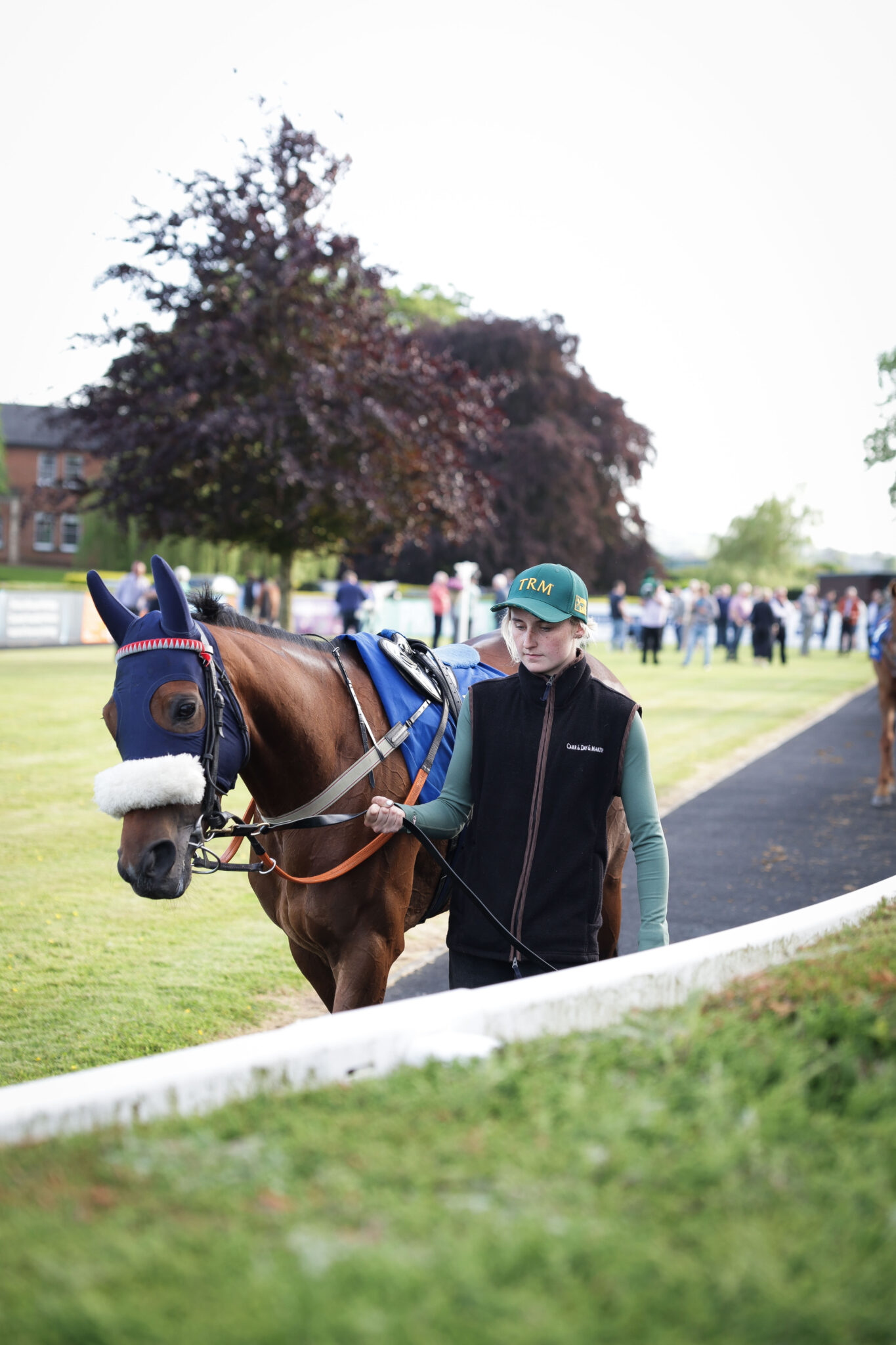 BOYLE Sports Summer Race Evening - Friday 29th May » Down Royal Racecourse